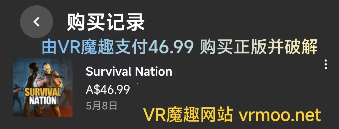 Oculus Quest 游戏《生存国度》Survival Nation – VR魔趣网