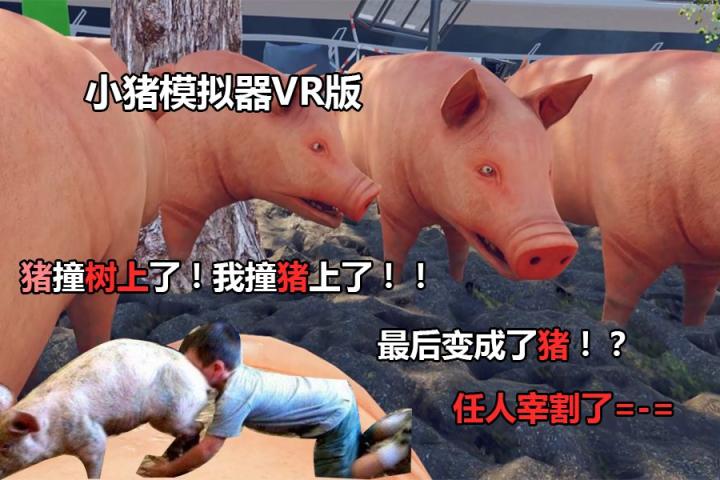 小猪模拟器（pig simulator VR） – VR魔趣网
